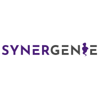 3 Synergetics IT Services Jobs in India | Synergetics IT Services ...